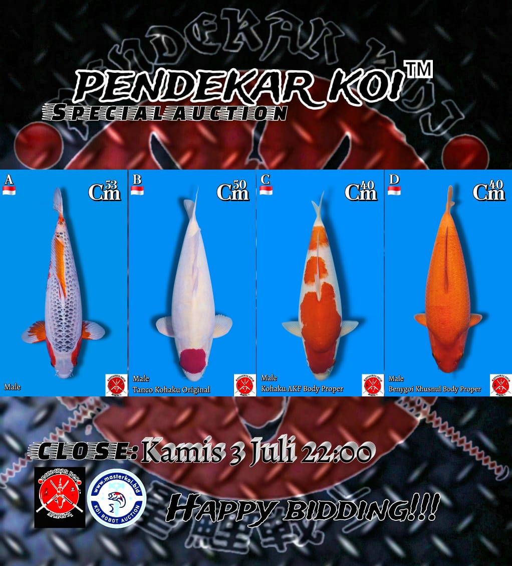 Master Koi - Lelang Ke-#158 Pendekar Koi Kudus
