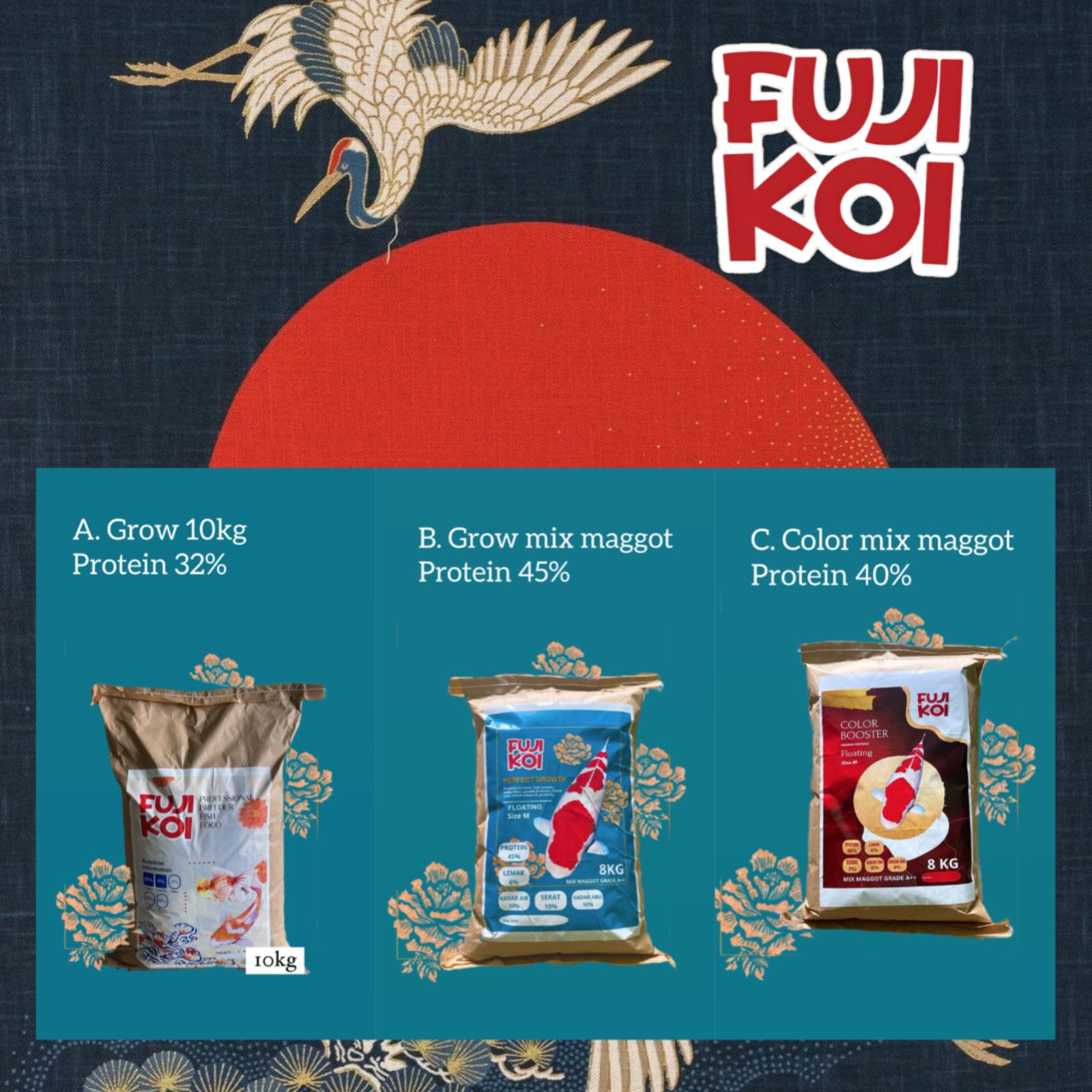 Master Koi - Lelang Ke-#624 Fuji Koi Kediri